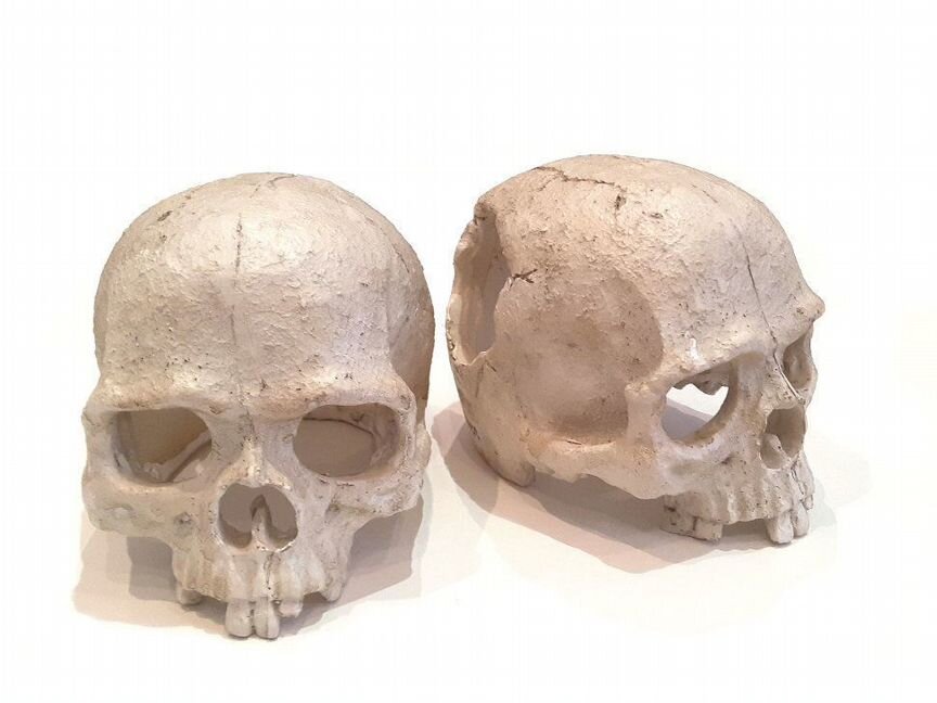 Декорация для террариума "Череп человека"