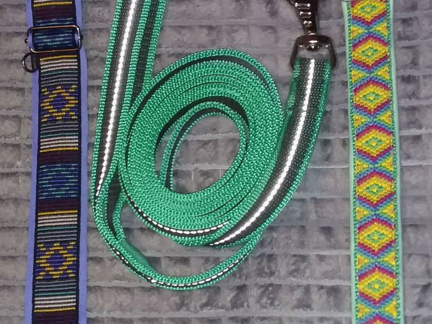 Ошейник и поводок для собак