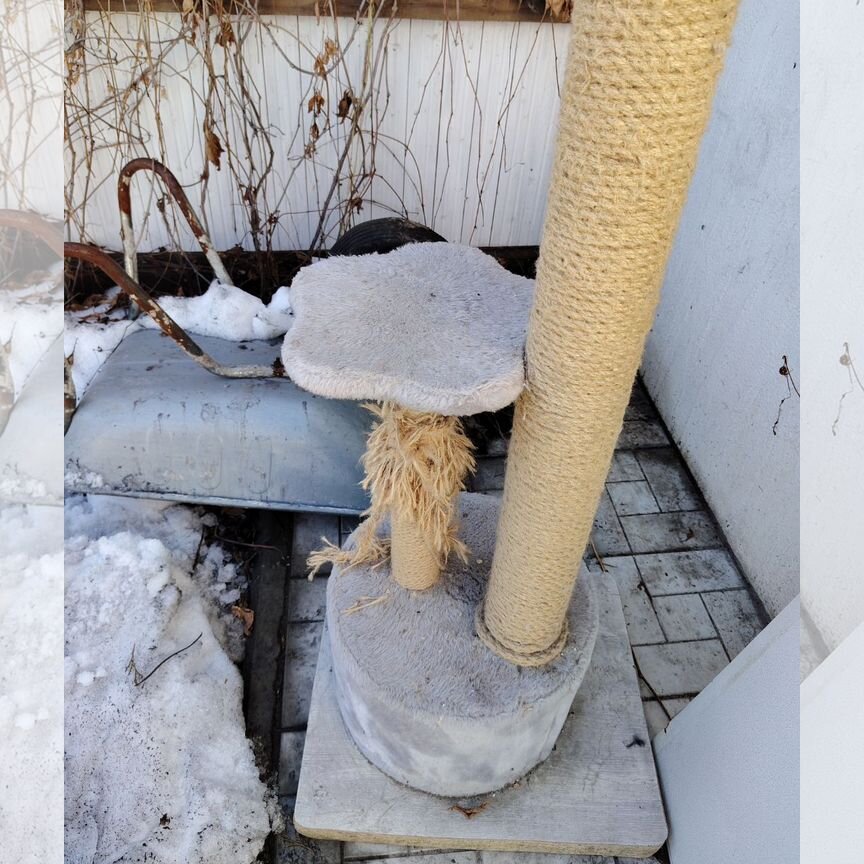 Когтеточка домик для кошки бу