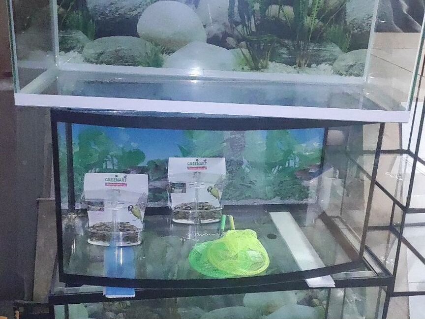 Аквариумы и террариумы