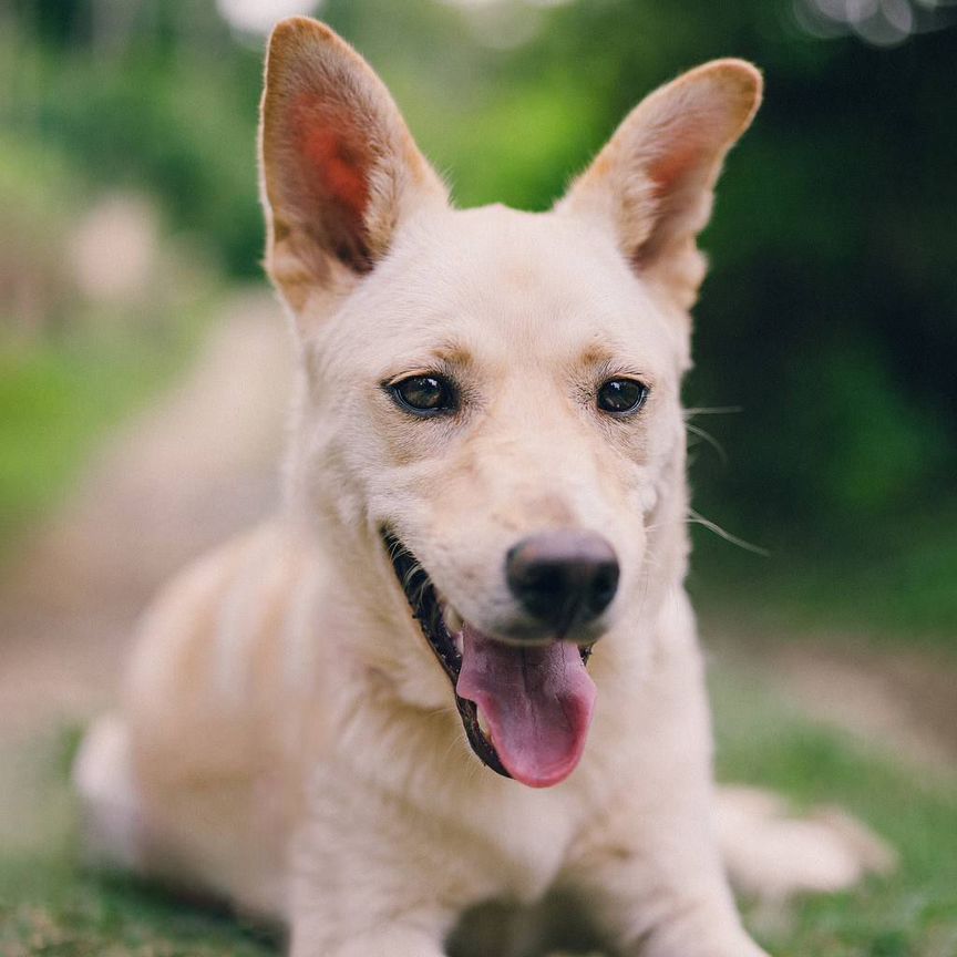 Прям,как фото в паспорте