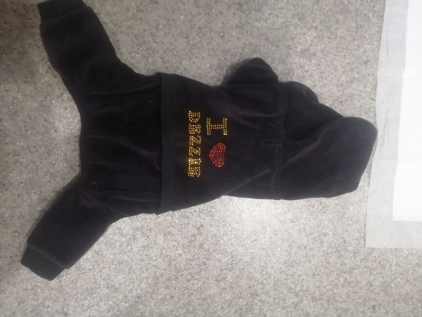 Продам вещи на маленькую собаку