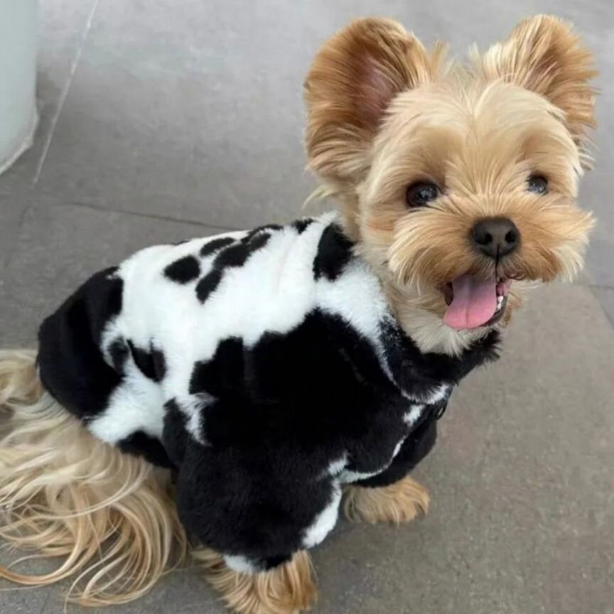 Шубка для маленьких собак