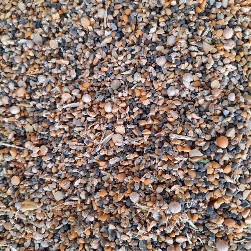 Зерноотходы нут