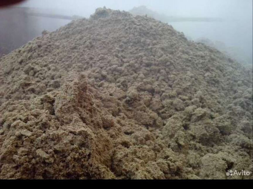 Пивная дробина,барда