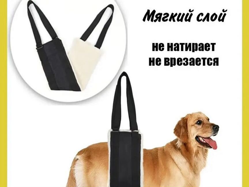 Ходунки для собак