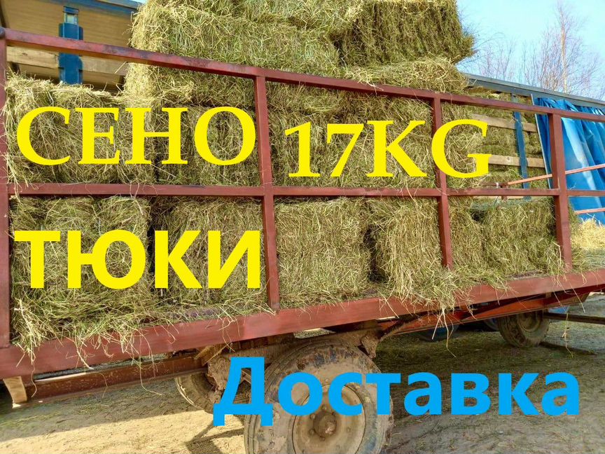 Сено Оптом с доставкой