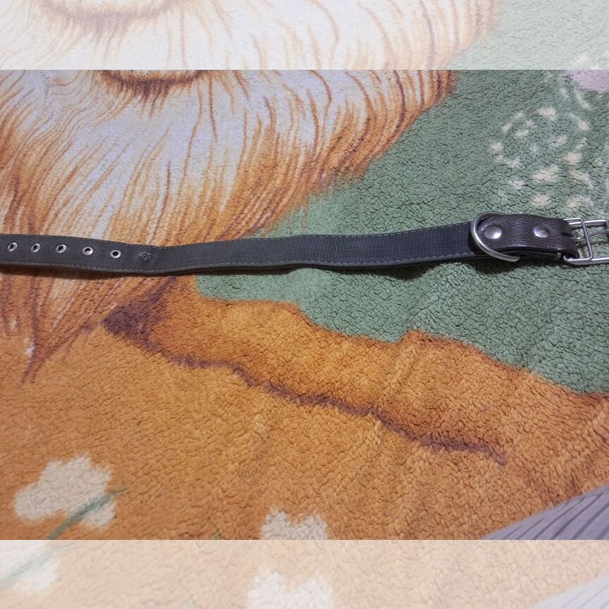 Ошейник для собак