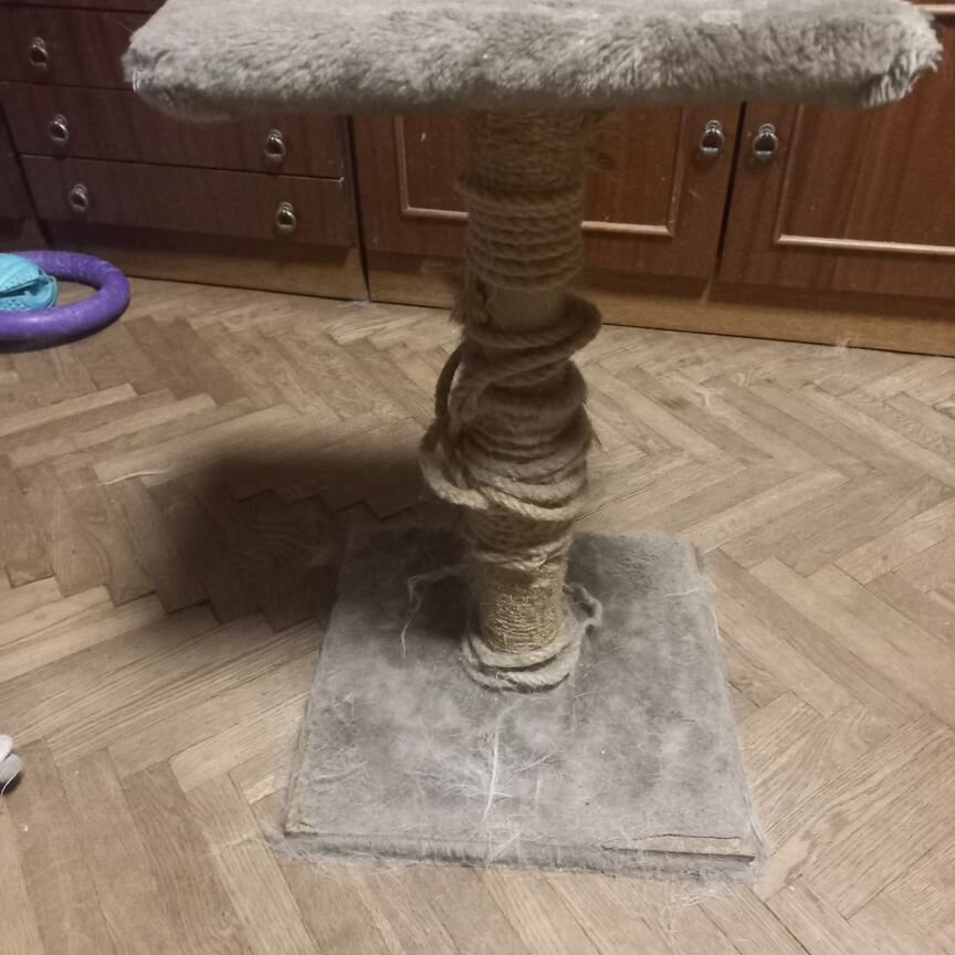 Когтеточка