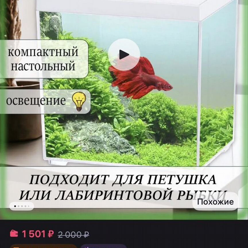 Аквариум