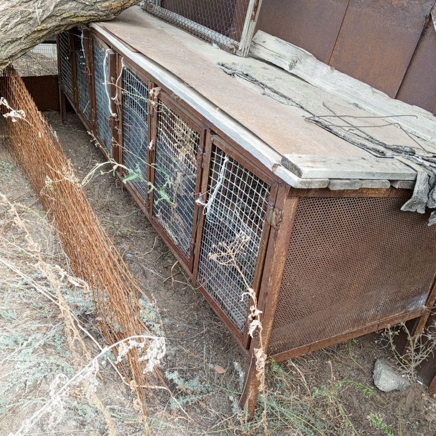 Клетки для кроликов бу