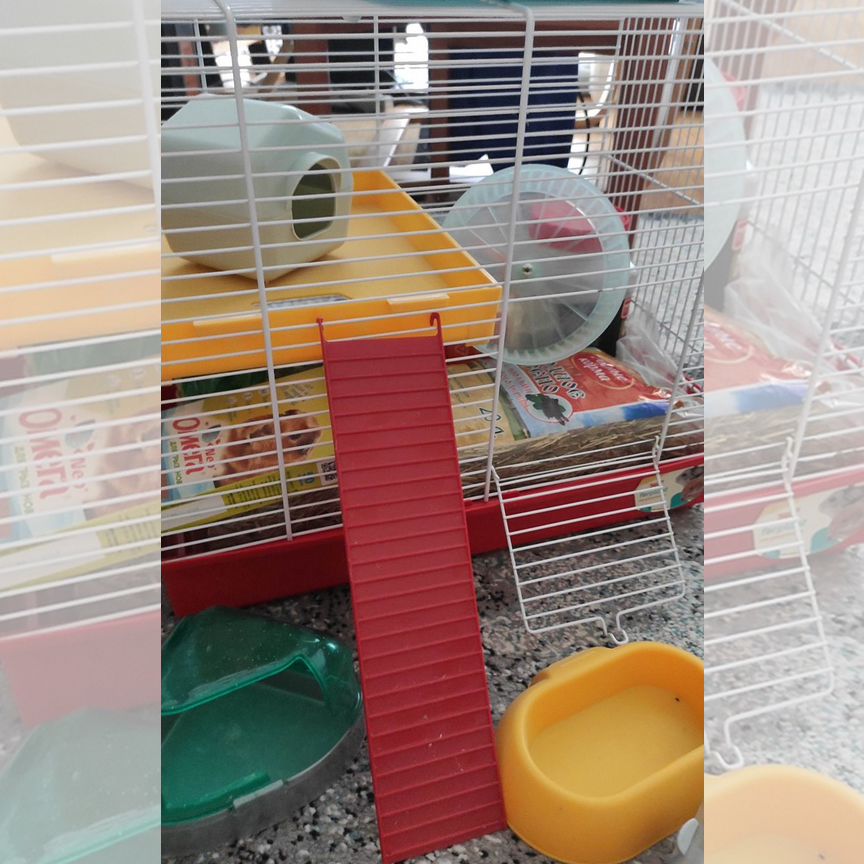 Клетка для грызунов ferplast + переноска