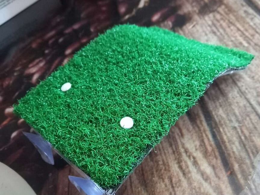 Мостик для черепах. Новый