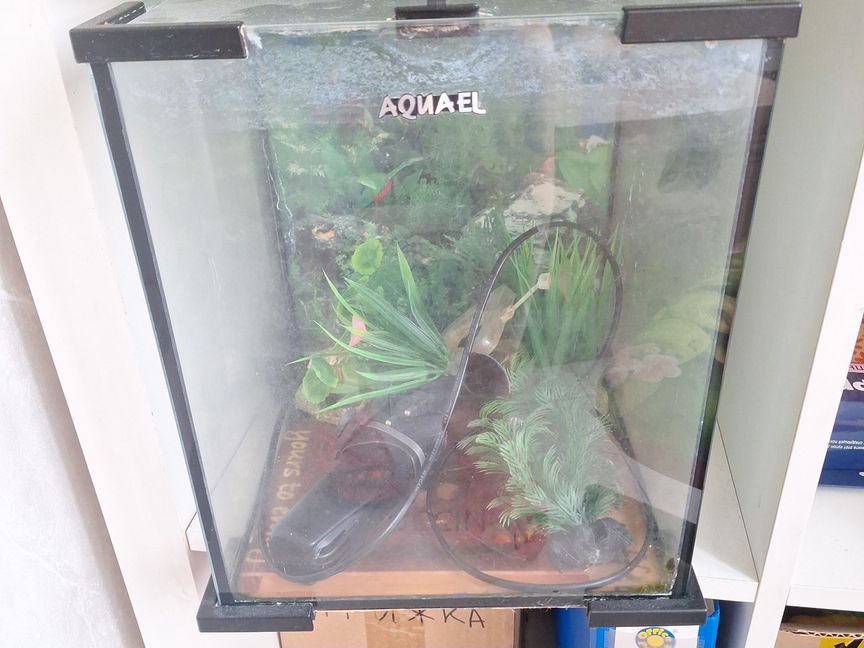 Аквариум 20л с фильтром