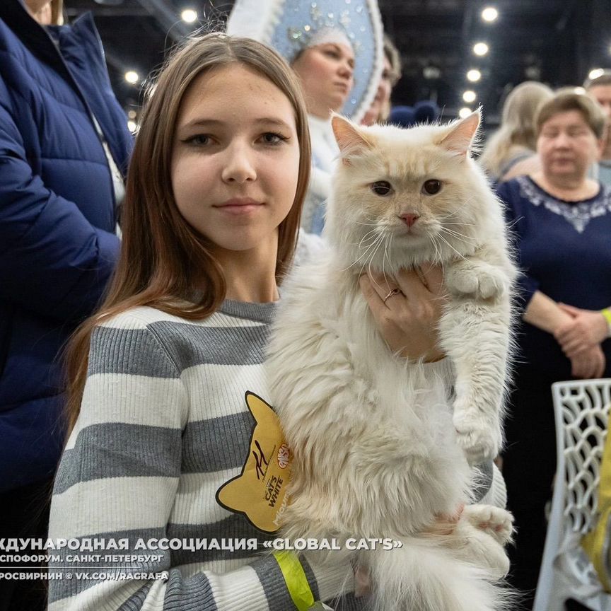 Вязка невская маскарадная