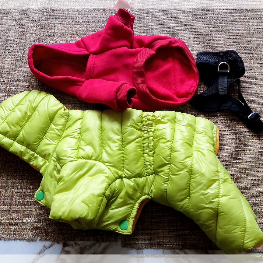 Одежда для маленьких собак пакетом