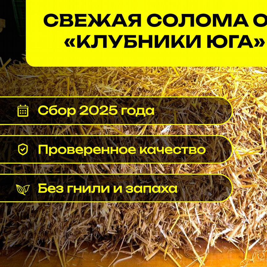 Солома для теплиц