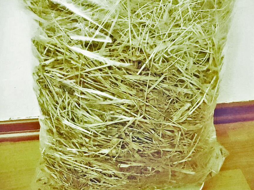 Сено луговое для свинок, кроликов, шиншилл