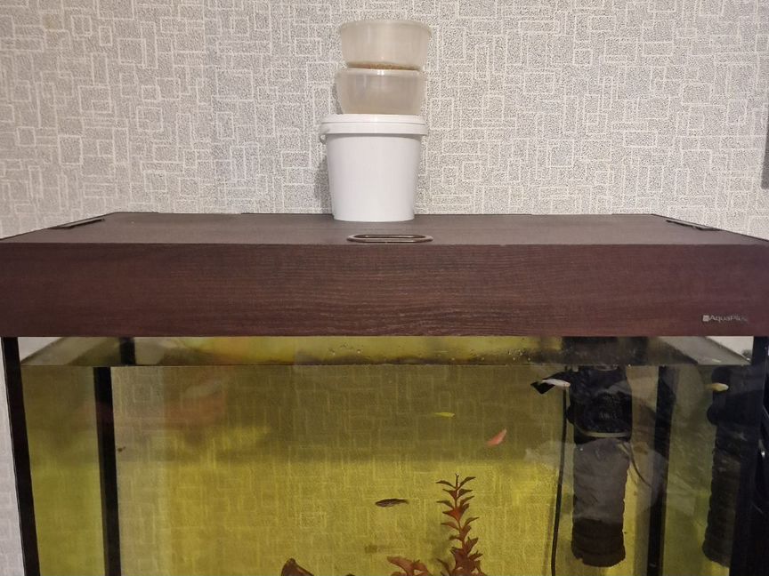 Аквариум с рыбками