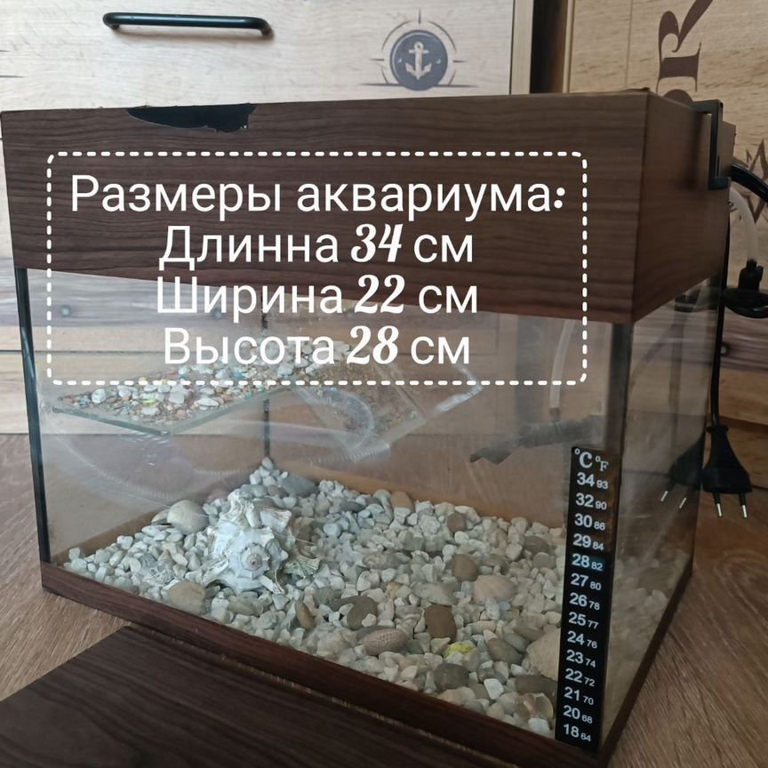 Аквариум с лампой и встроенным мостиком
