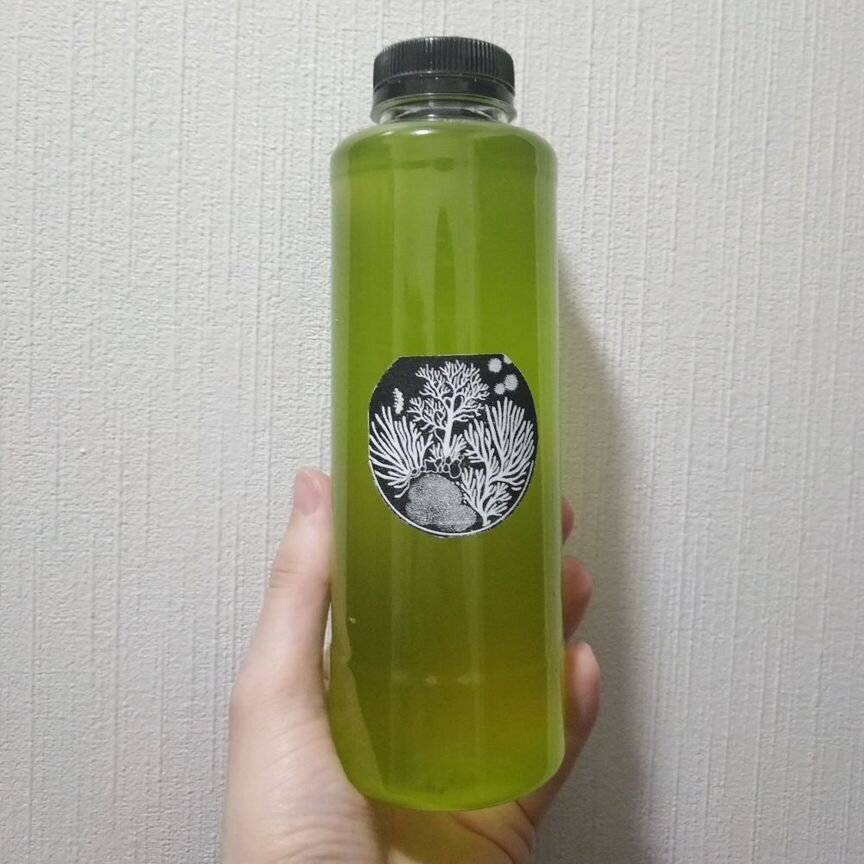 Фитопланктон для морского аквариума