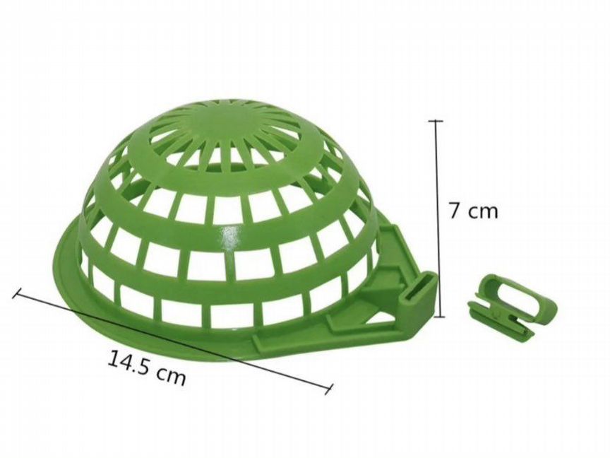 Птичье гнездо