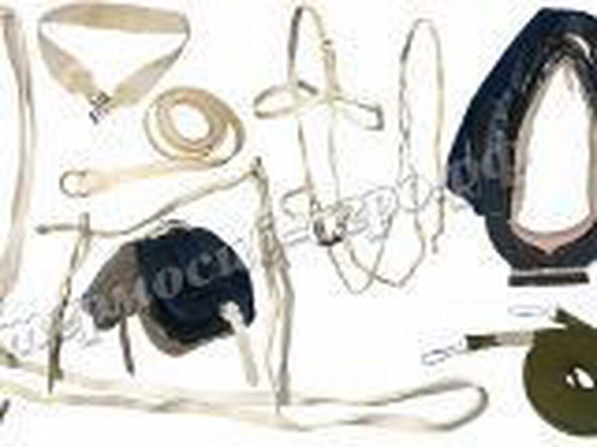 Конная сбруя