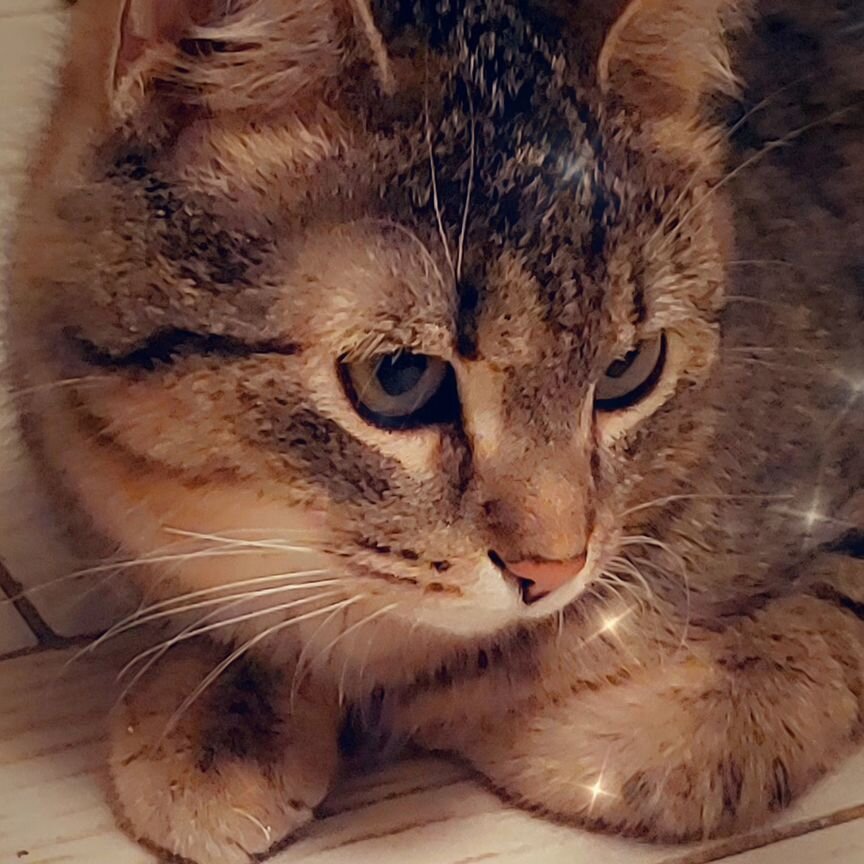 Очень Хороший