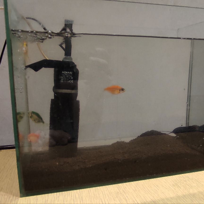 Аквариум с рыбками