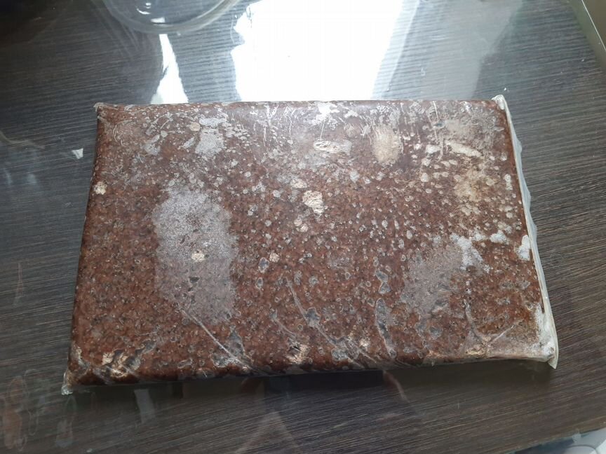 Артемия 1кг замороженная