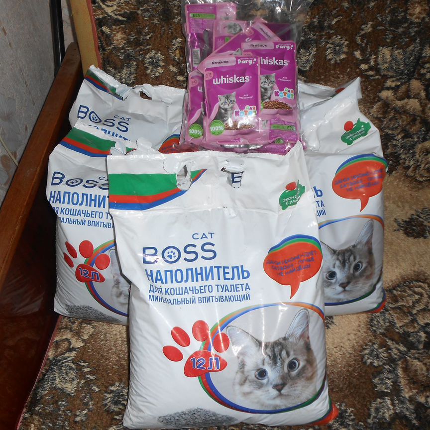 Влажный корм для котят и наполнитель