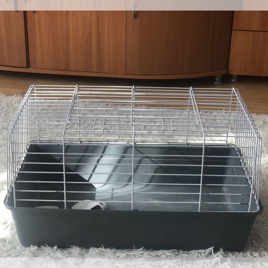 Клетка