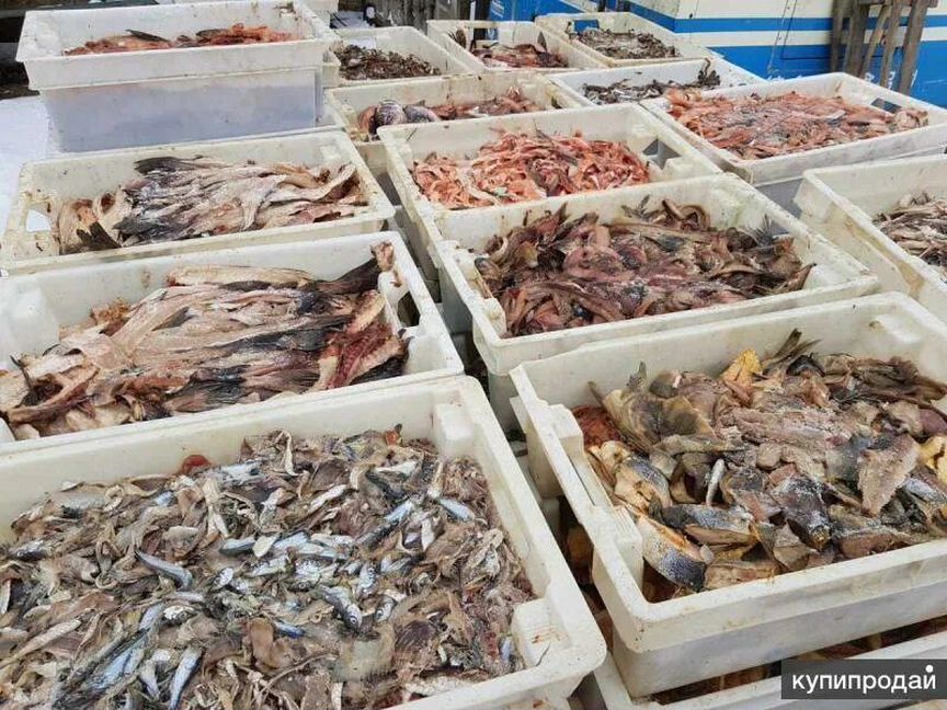 Рыбные отходы