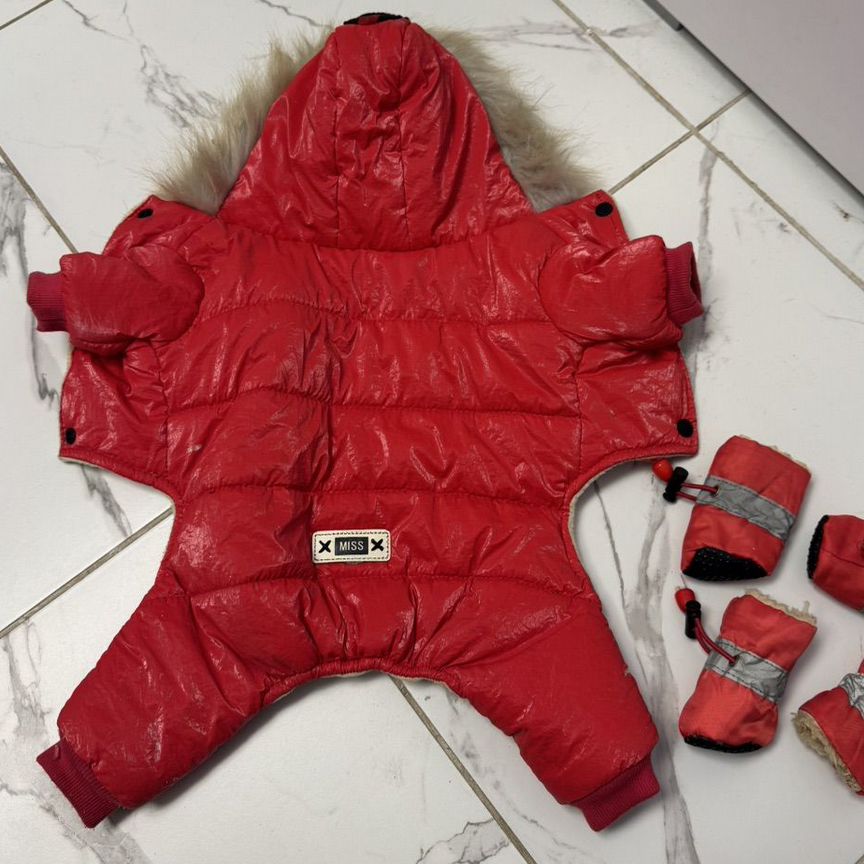 Зимняя одежда для собак