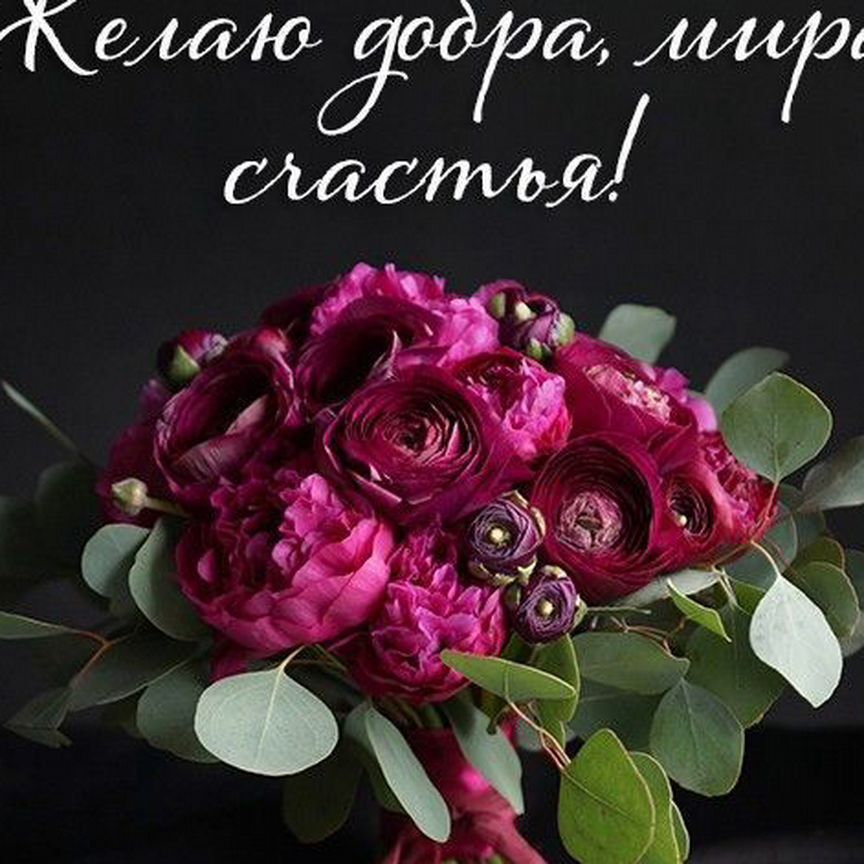 Французский бульдог, щенок