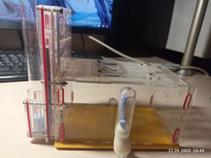 Муравьиная ферма бу