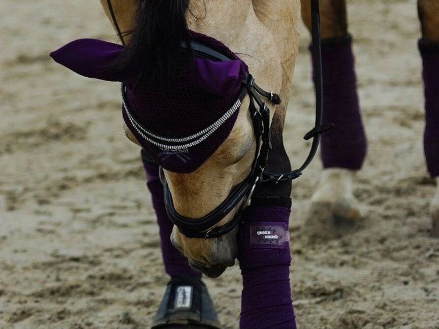 Ушки/бинты для лошади