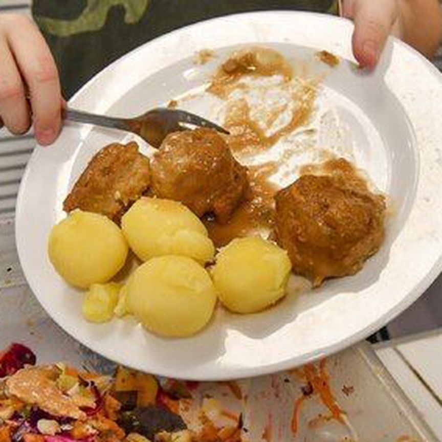 Пищевые отходы для животных