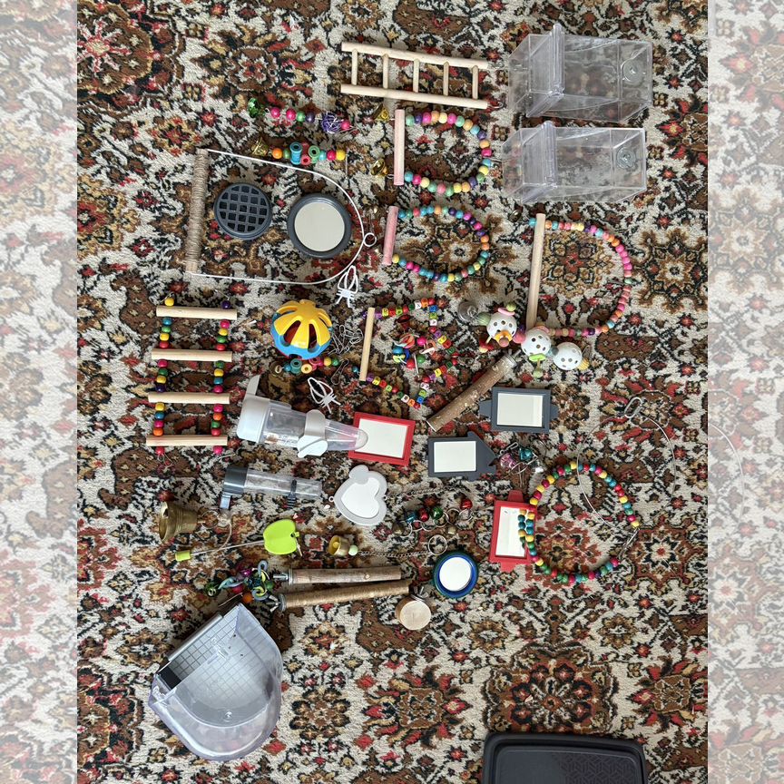 Игрушки для птиц