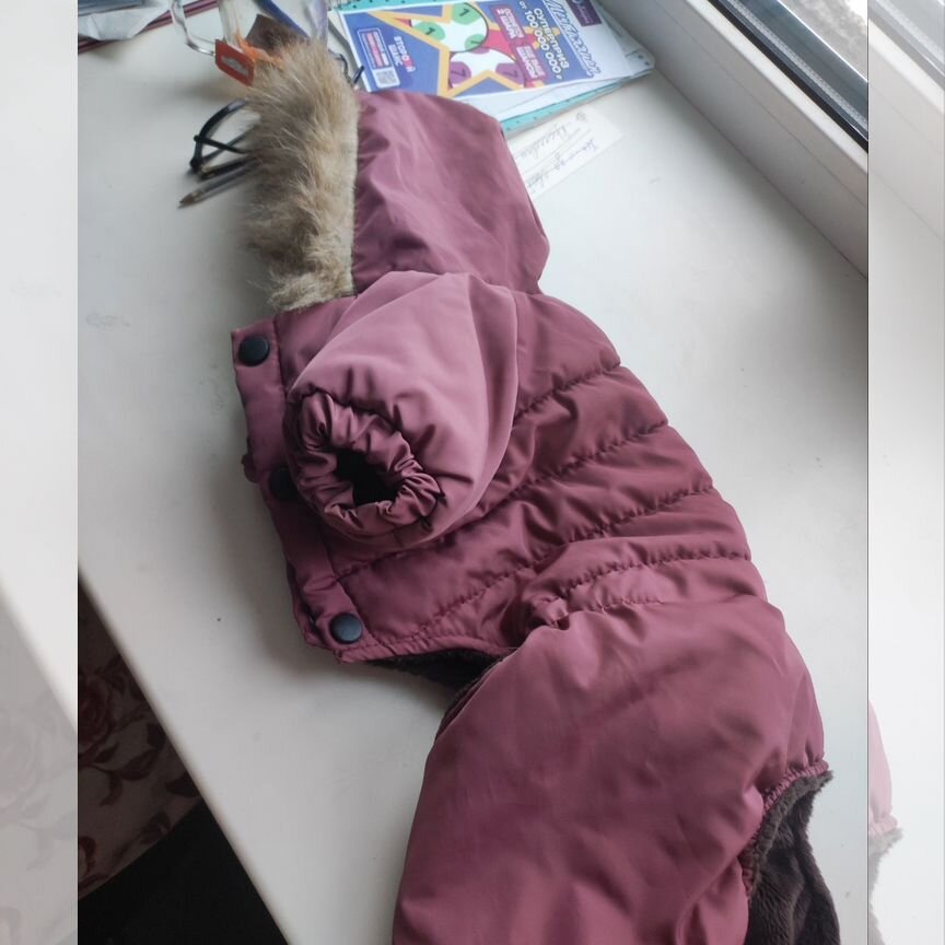 Одежда для собак