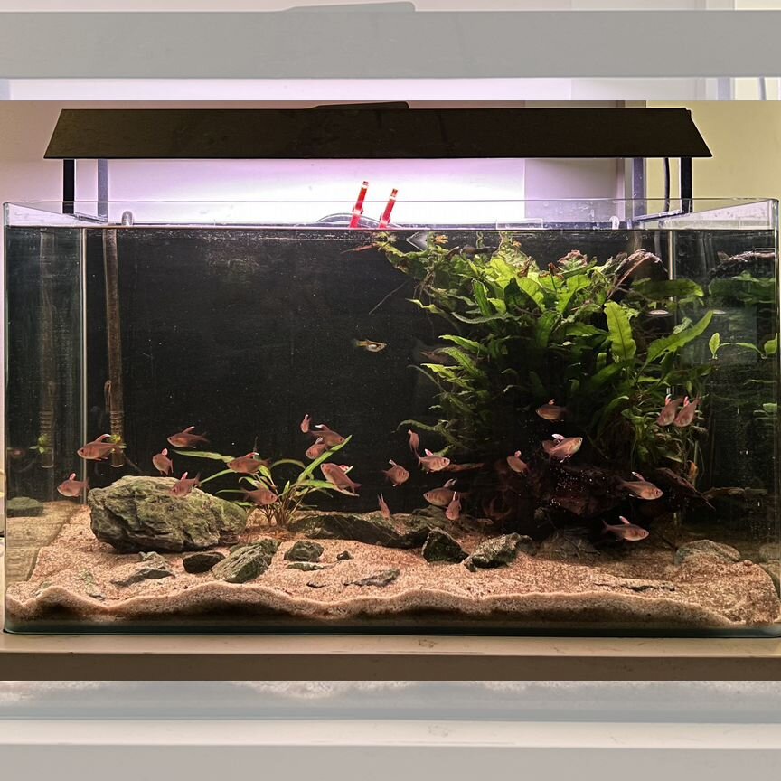 Аквариум на 60 литров