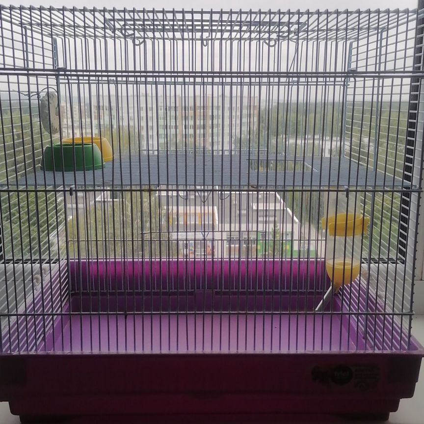 Клетка для домашних крыс