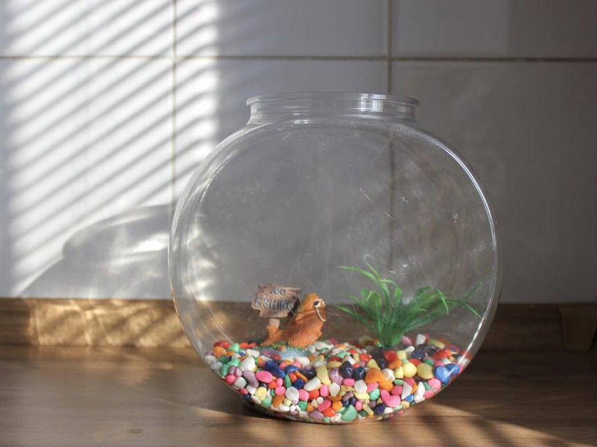 Аквариум пластиковый