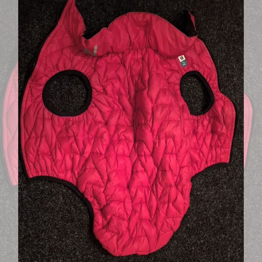 Красный весенний комбинезон для собаки (мальчик)