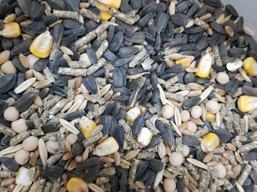 Корм для хомяков