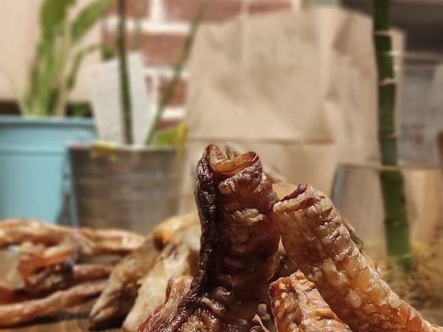 Лакомства для собак и кошек