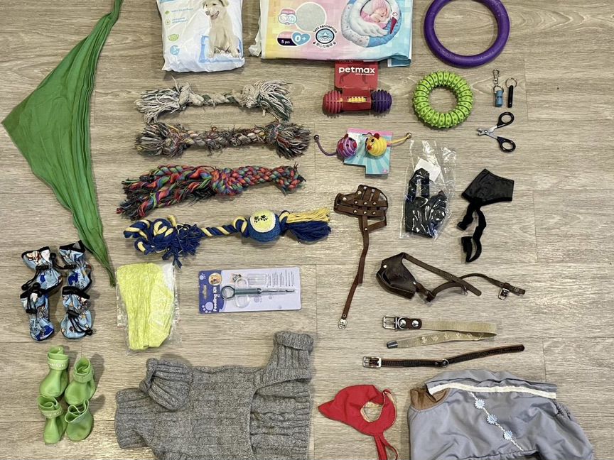 Набор крутых вещей для собак мелких, средних пород