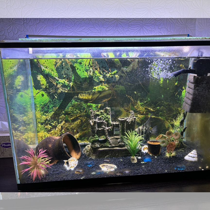 Аквариум 80л