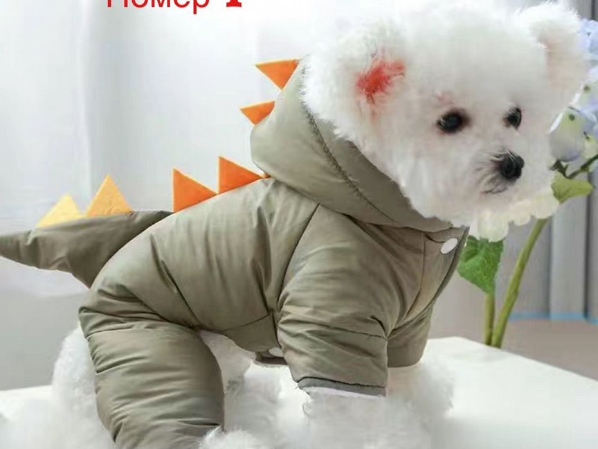 Комбинезон для маленькой собаки