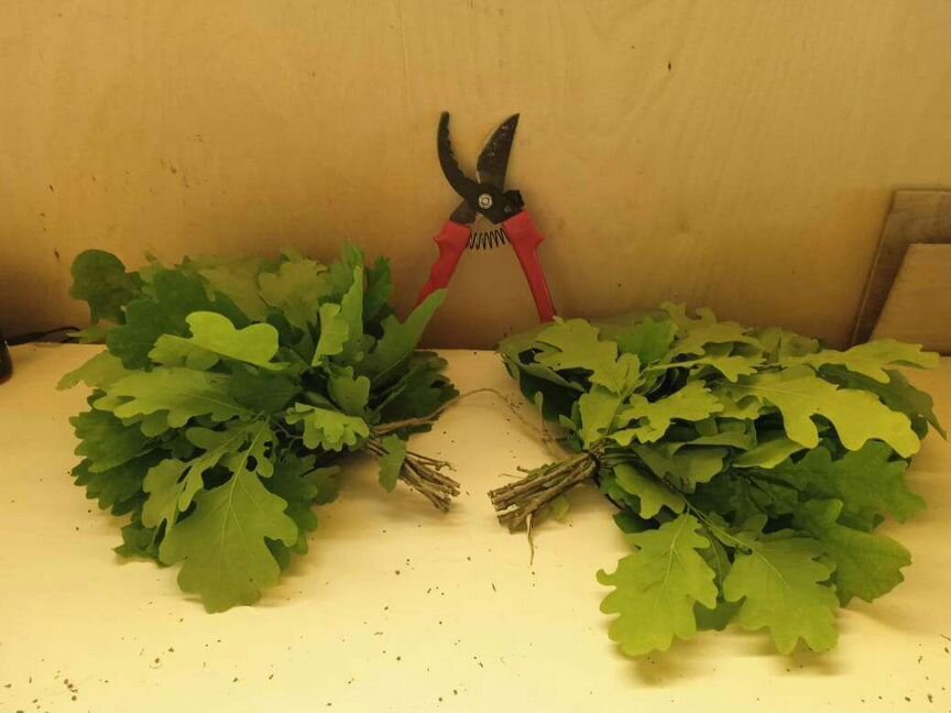 Малина и дуб, сухие венички на корм насекомым